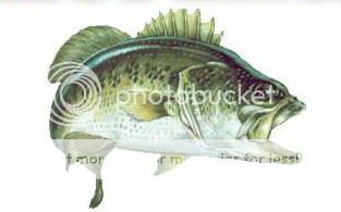 Bienvenidos | Picositos Fishing Team