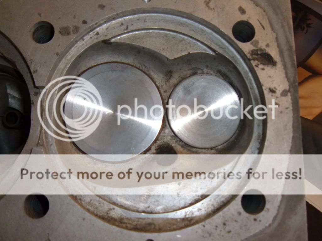 Pauter Head - Shoptalkforums.com