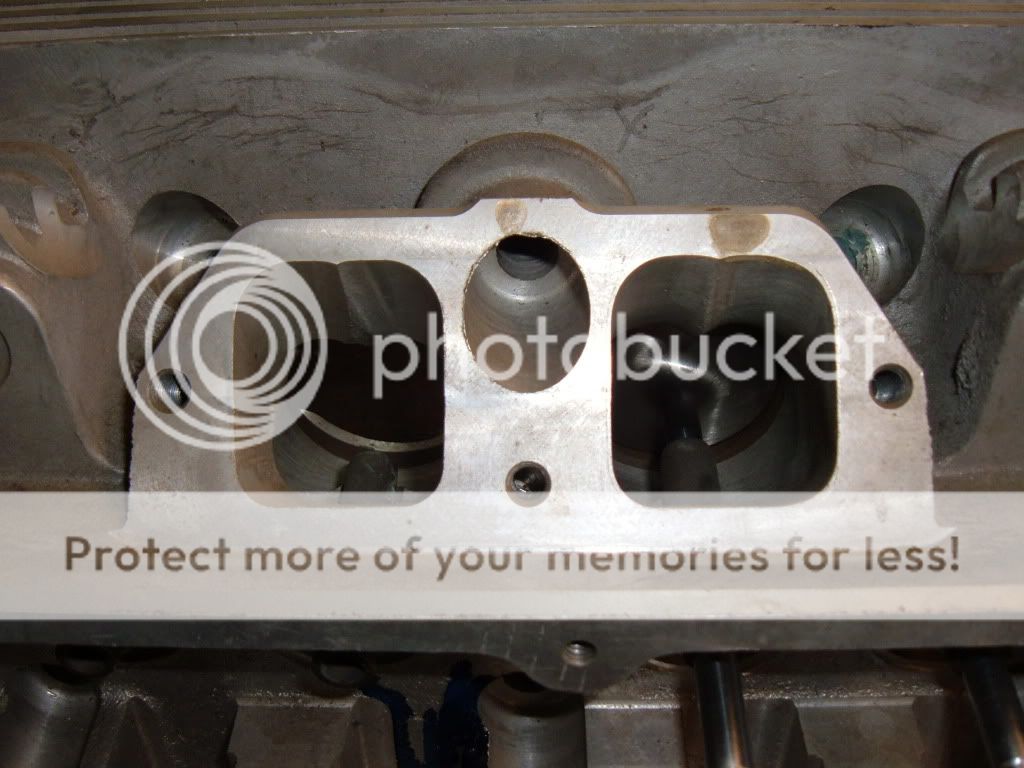 Pauter Head - Shoptalkforums.com