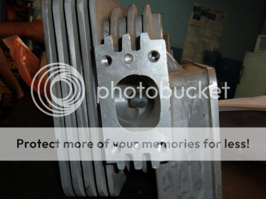 Pauter Head - Shoptalkforums.com