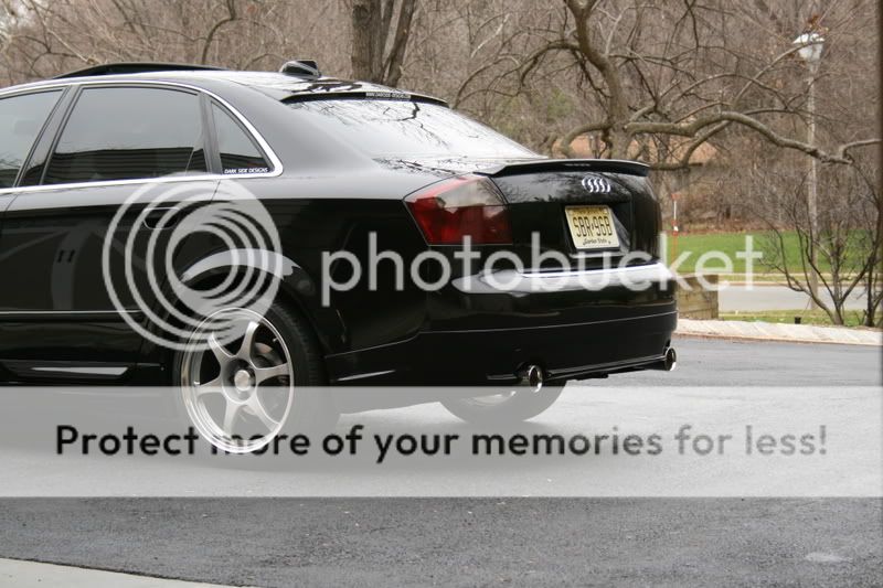 Photoshoot. Tinted Tails. Oettinger Kit II.