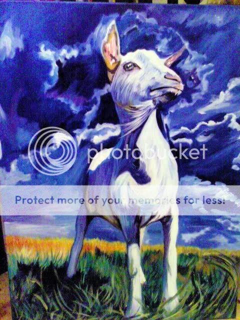 Man Accused of Spray-Painting Goats [WHAT DID *YOU* DO ON THANKSGIVING?]