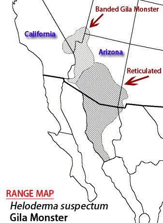 If you could rename your favorite team what would it be? : r/nfl